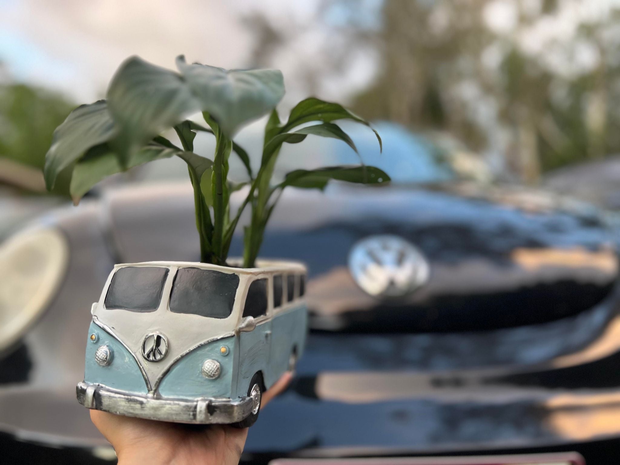 Stylish Pots & Planters: Elevate Your Home Garden – Oldboy's Flowers