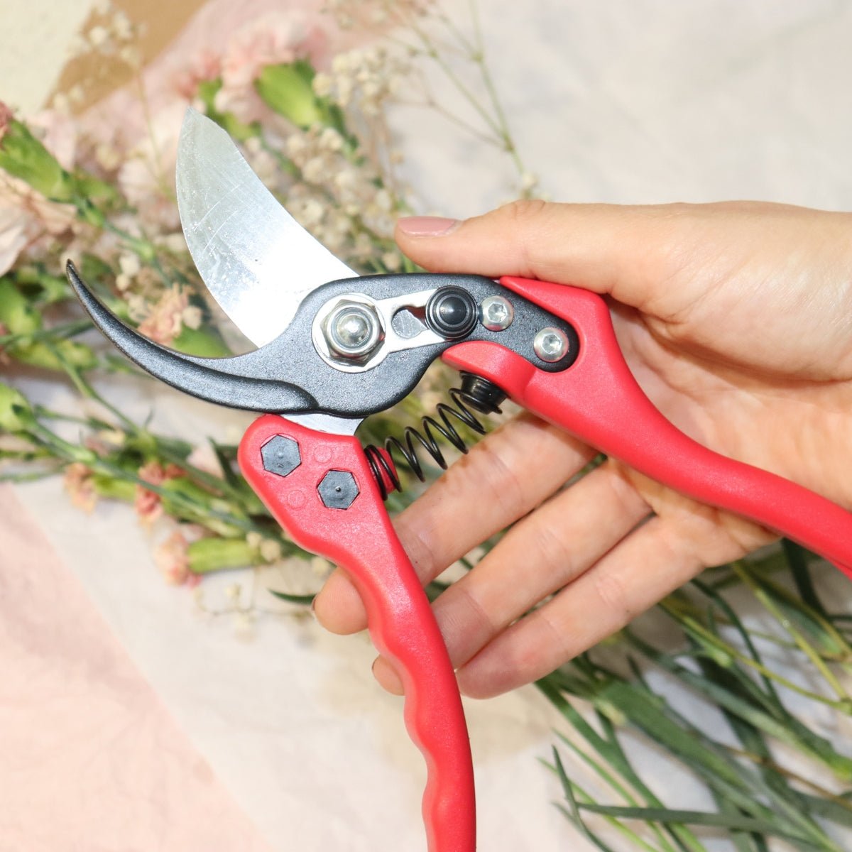 Corona Branch & Stem Pruner - Precision Cutting Tool – Oldboy's Flowers