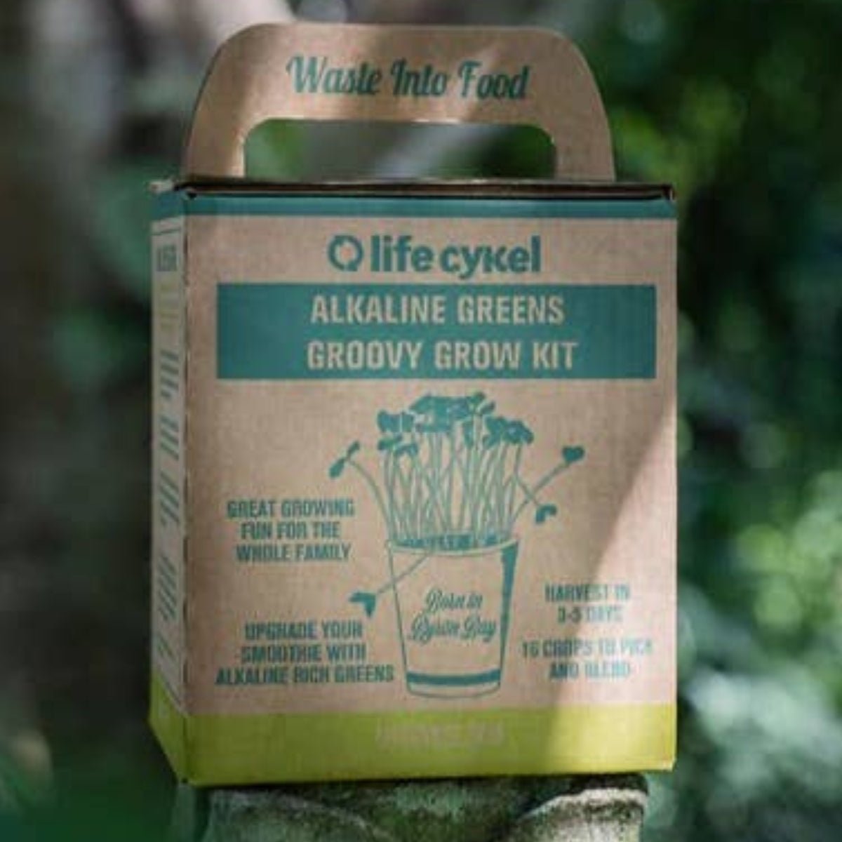 Eco-Friendly Alkaline Greens Kit: Grow Zesty Microgreens – Oldboy's Flowers